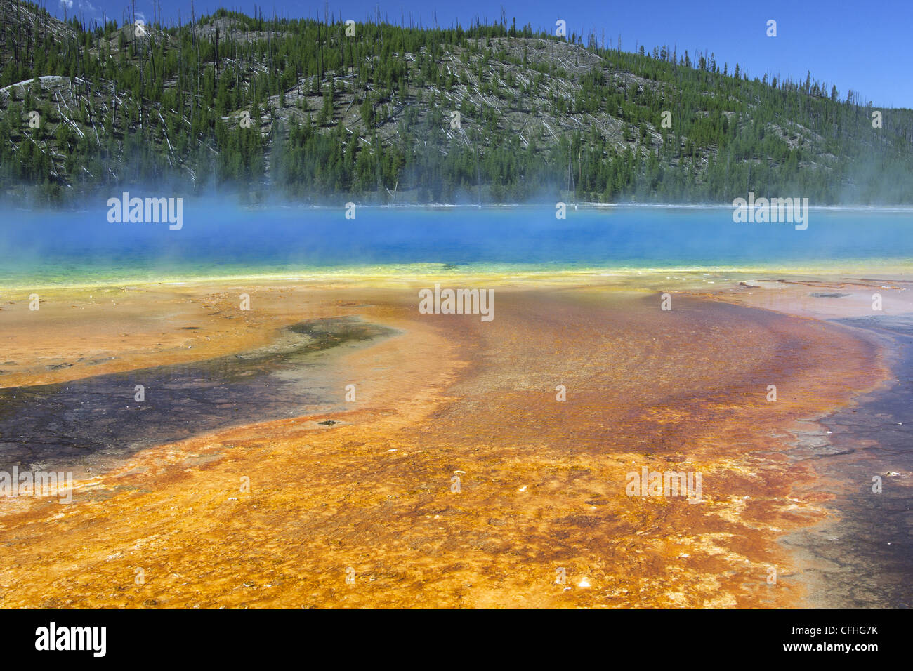 Colorful hot spring in Yellowstone, Grand Prismatic Stock Photo - Alamy