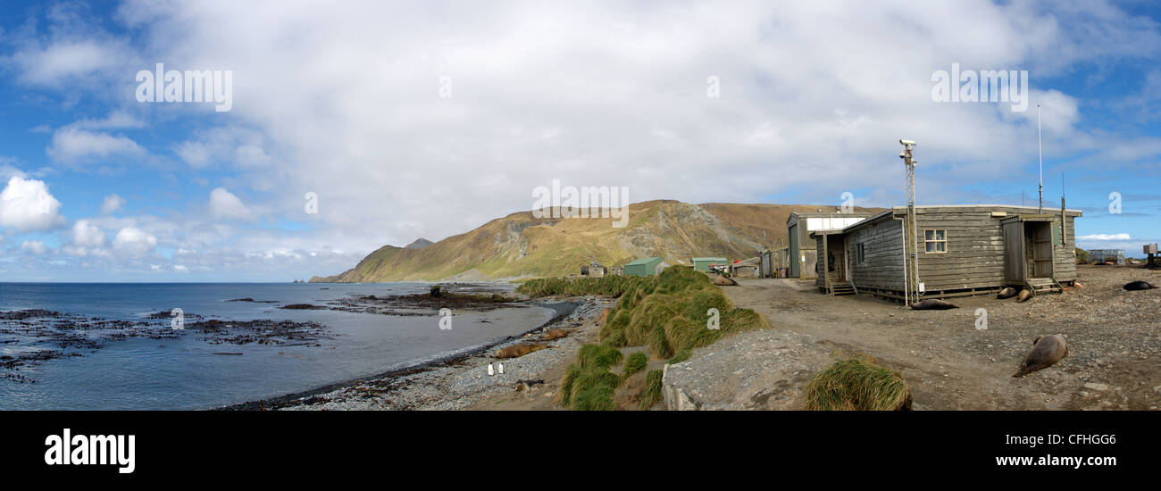 Macquarie island station hi-res stock photography and images - Alamy