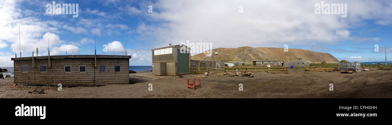Macquarie island station hi-res stock photography and images - Alamy