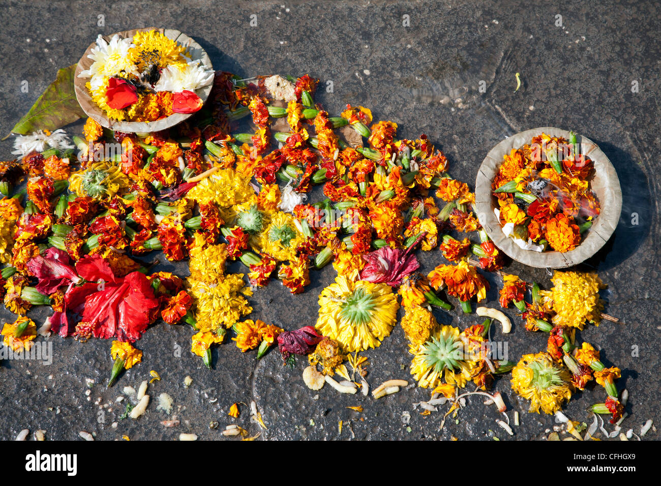Flower garlands and floating lamps. Godavari river. Nasik. India Stock ...