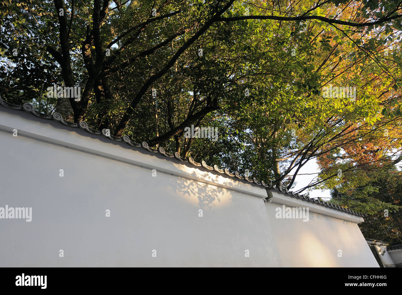 branches with autumn leaves casting shadow on wall, Kyoto, Japan Stock ...