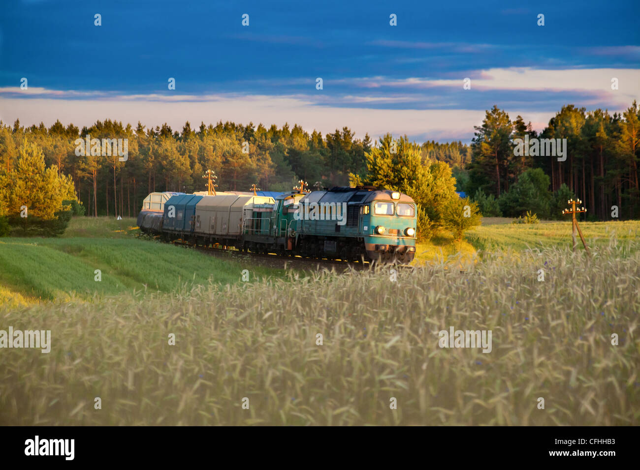 Freight diesel train Stock Photo - Alamy