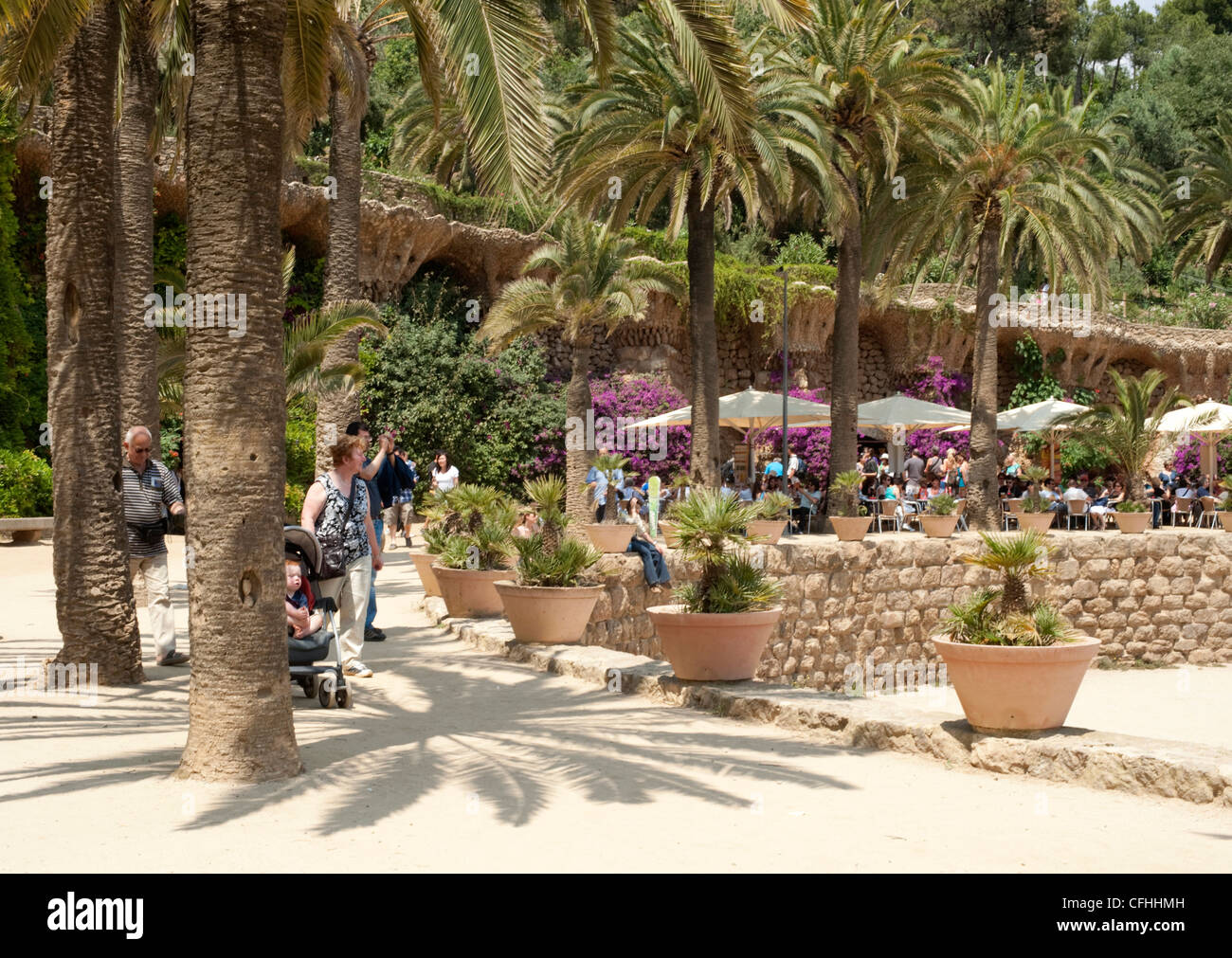 Cafe and palm trees hi-res stock photography and images - Alamy