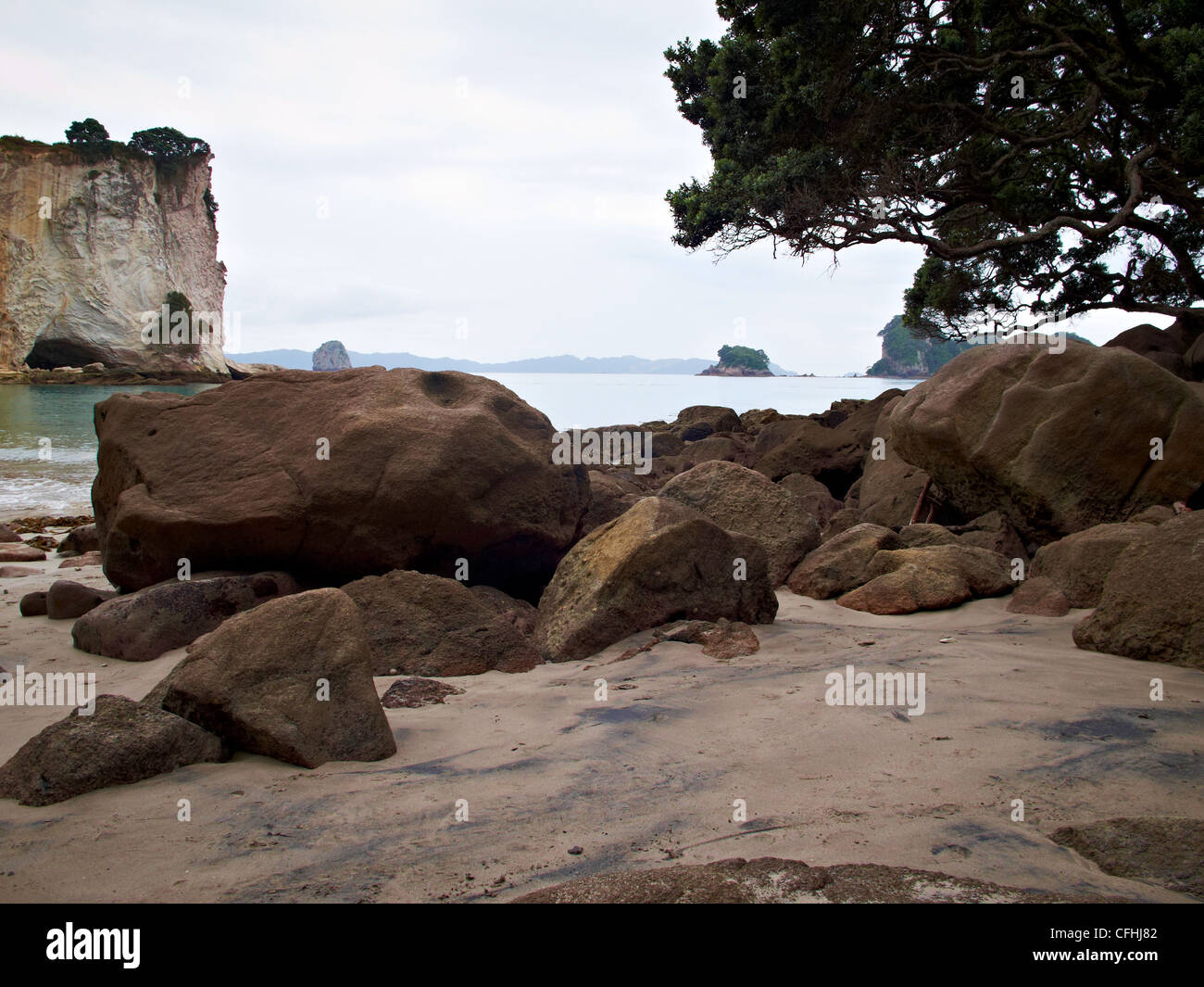 Stingray bay at Coromandel New zealand Stock Photo - Alamy