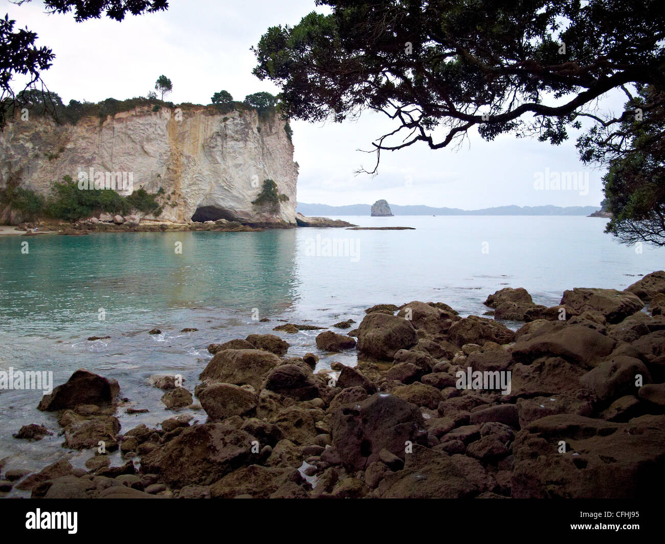 Stingray Bay New Zealand High Resolution Stock Photography and Images ...