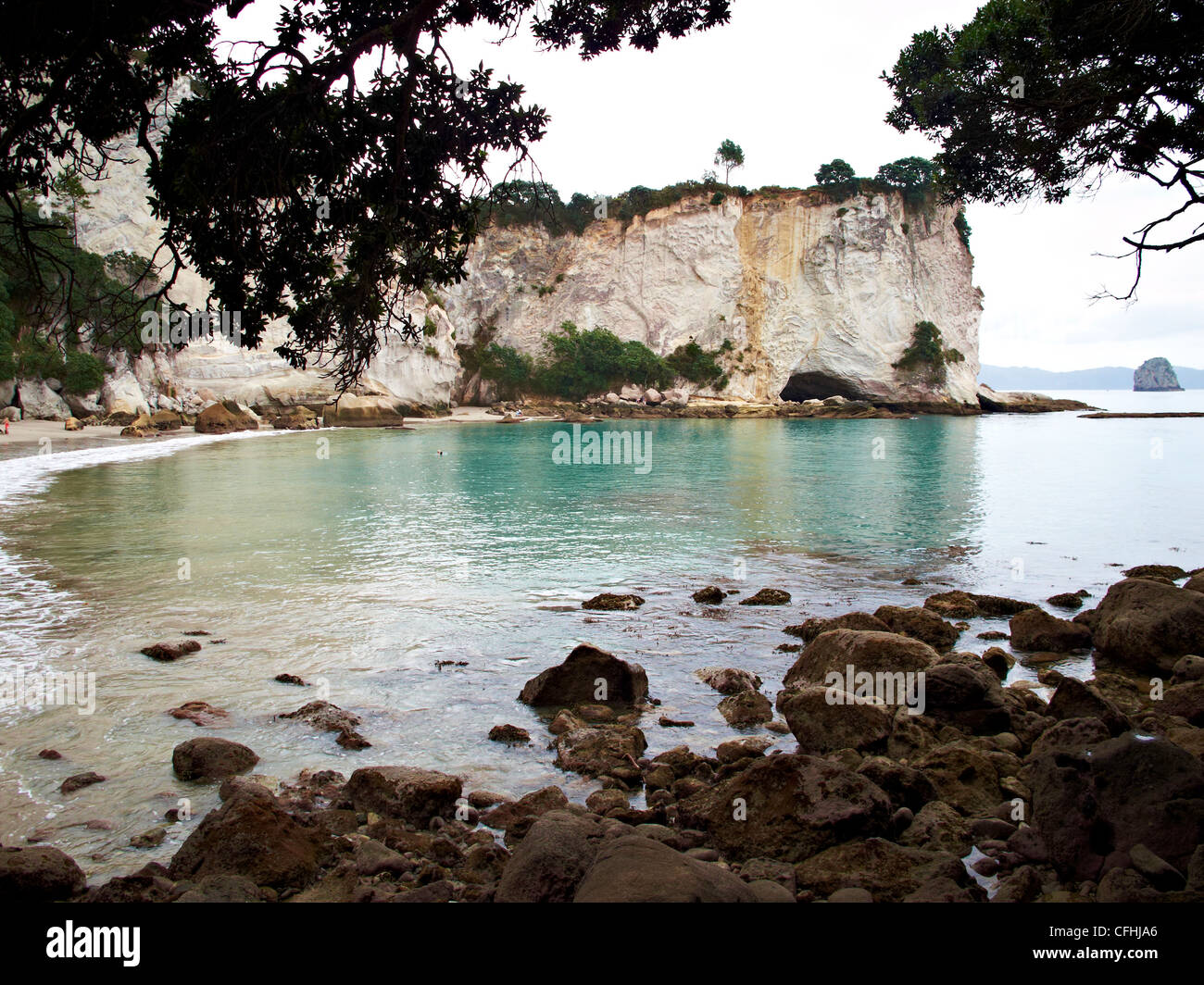 Stingray bay at Coromandel New zealand Stock Photo - Alamy