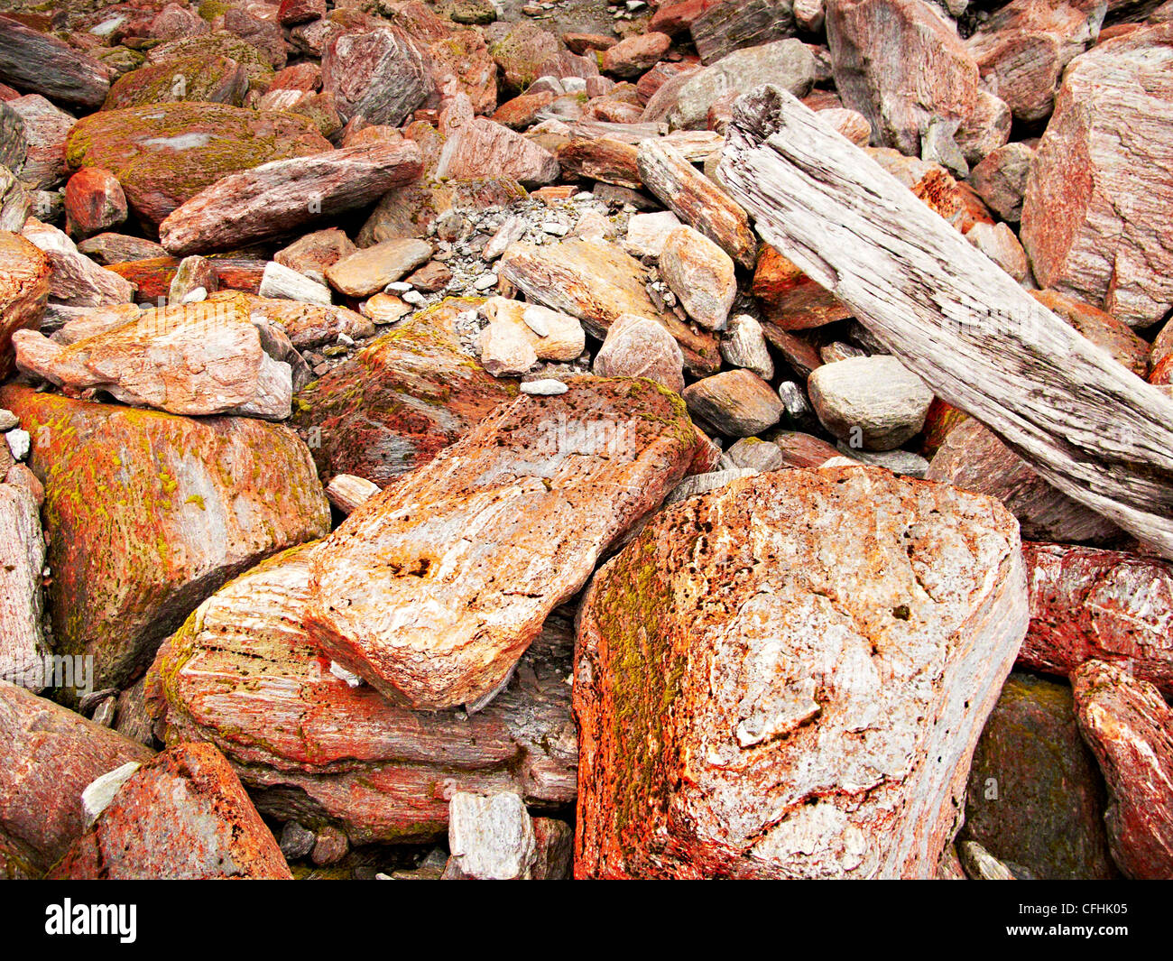 Looking in detail at the rocks from the surrounding area of Fox glacier ...