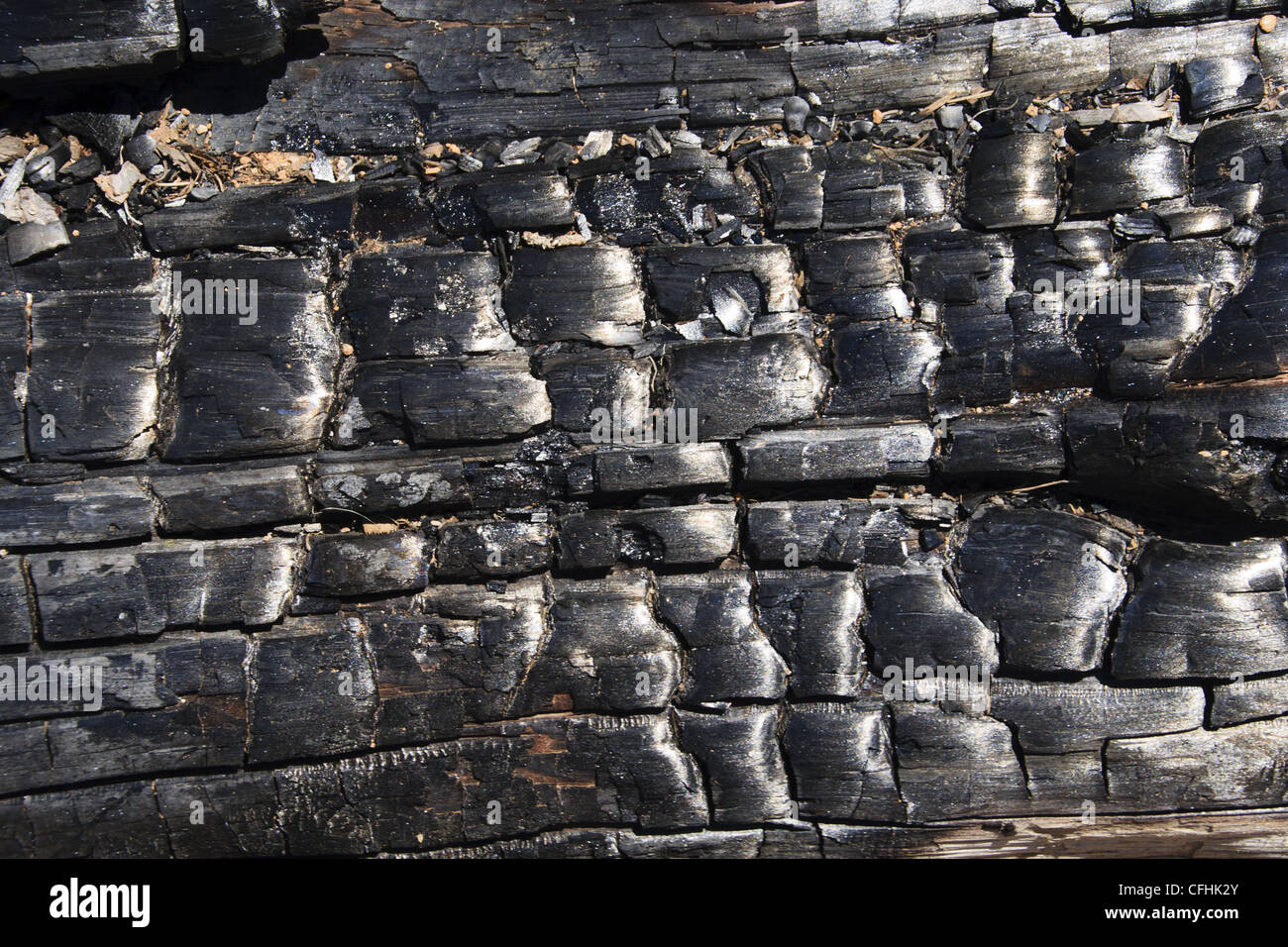 Textured burnt wood Stock Photo - Alamy