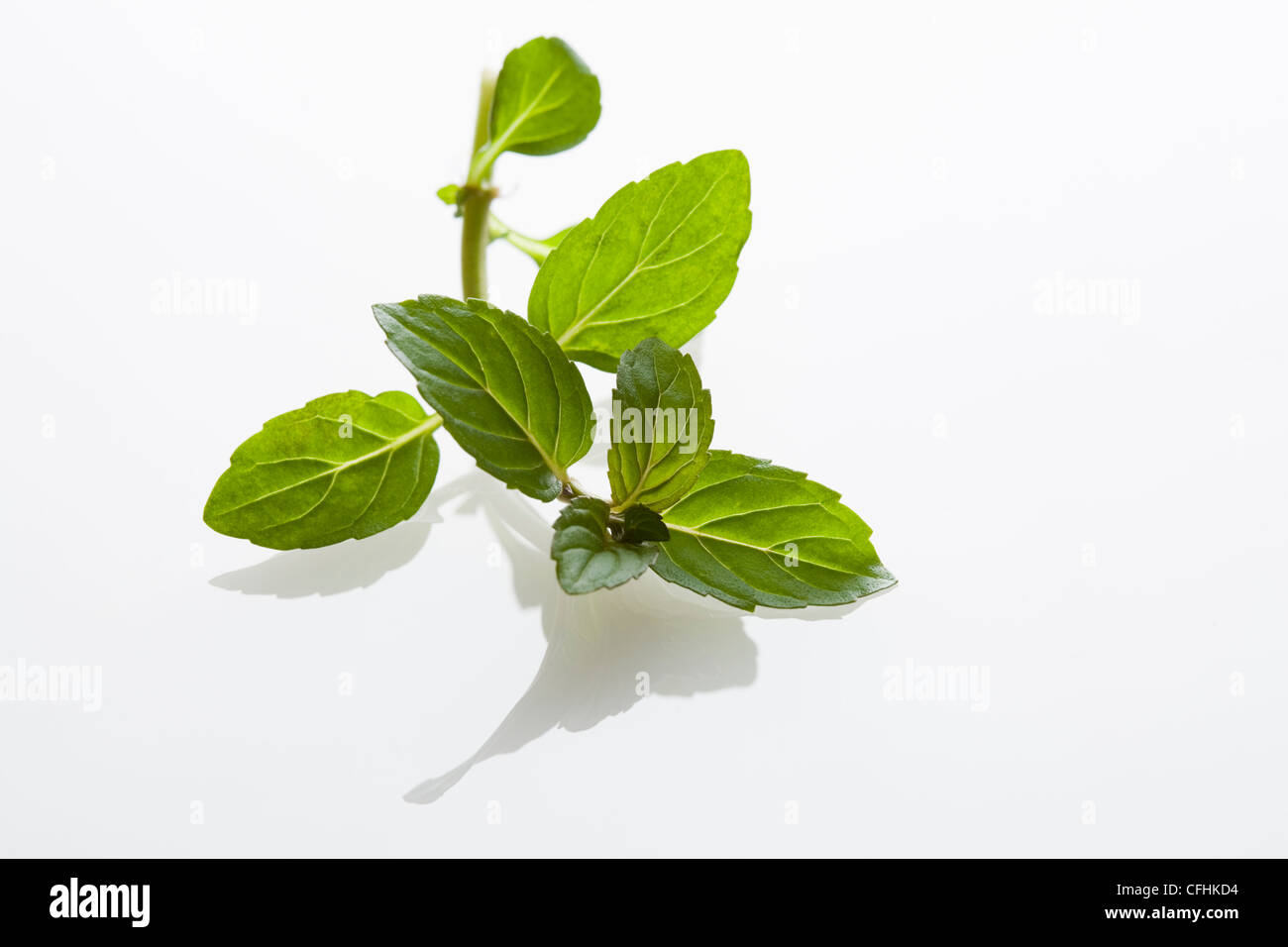 Simple mint hi-res stock photography and images - Alamy