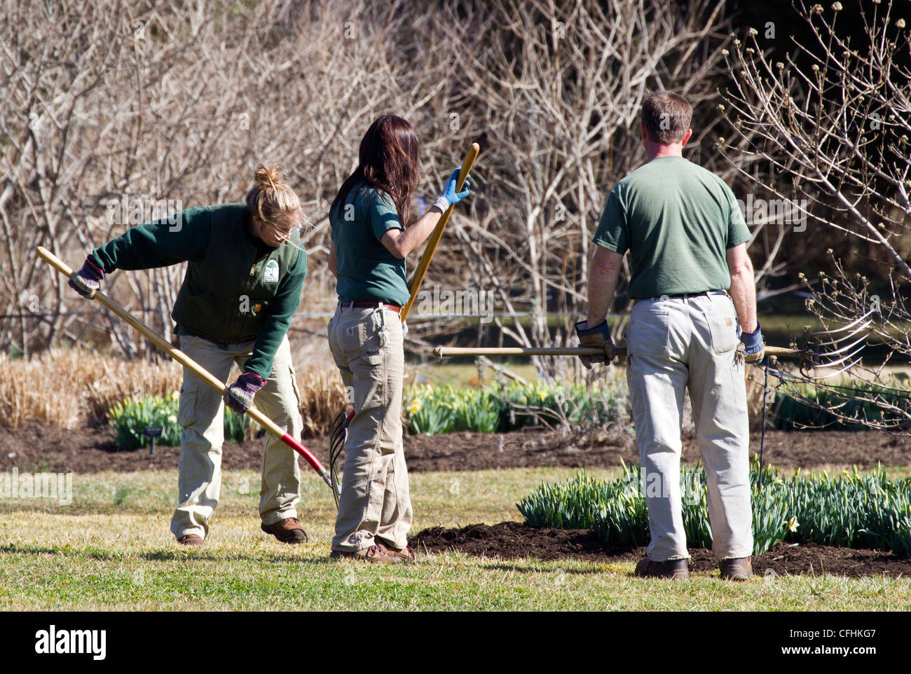 Three gardeners spreading mulch Stock Photo - Alamy