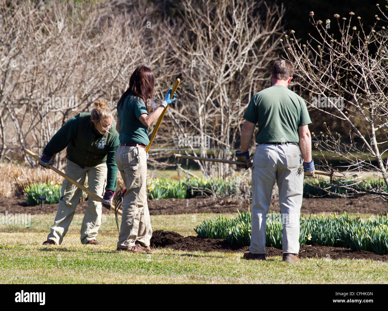 Three gardeners spreading mulch Stock Photo - Alamy