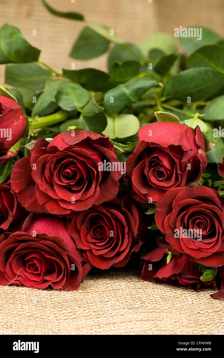 Bunch Of Red Roses Layed Over Hessian Fabric Stock Photo Alamy