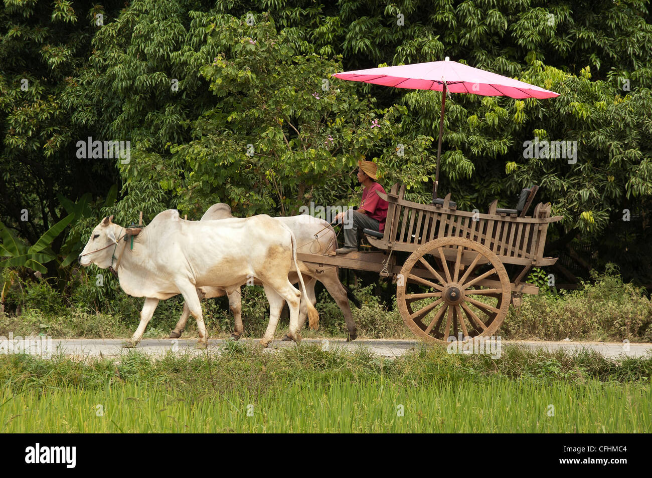 Elephant cart hi-res stock photography and images - Alamy