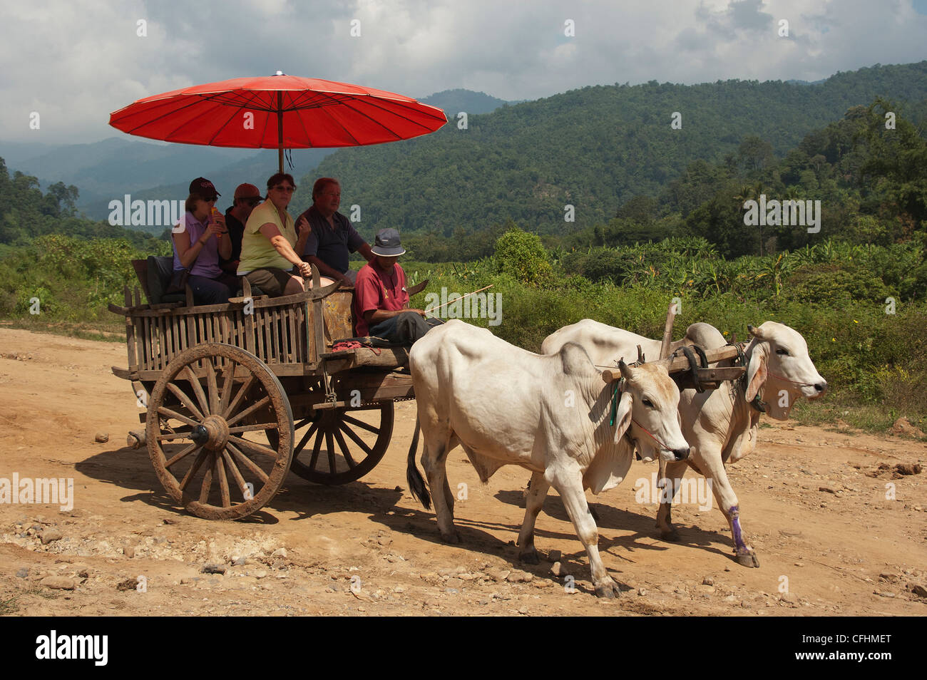 Elephant cart hi-res stock photography and images - Alamy