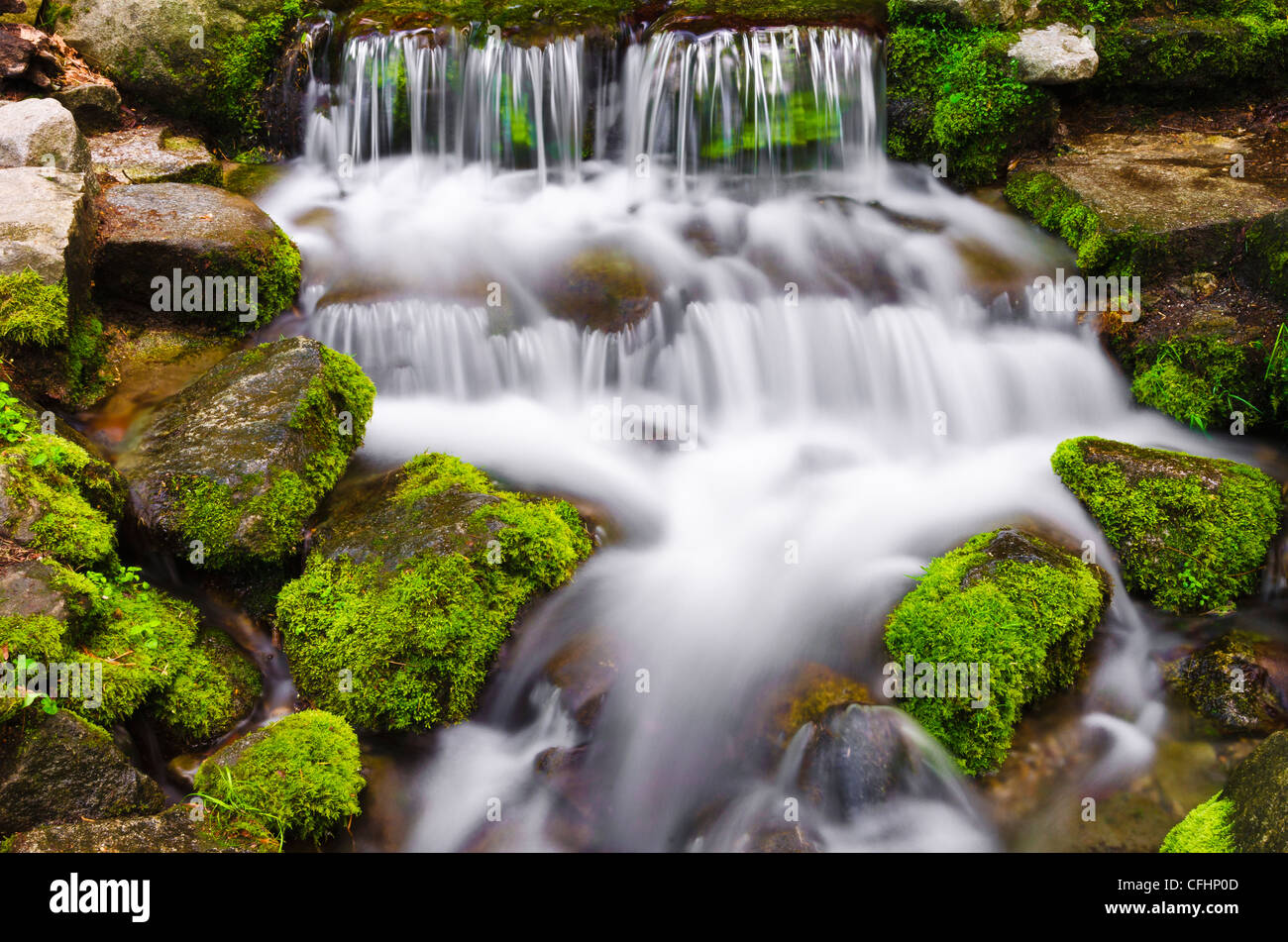 Fern spring yosemite national park hi-res stock photography and images ...
