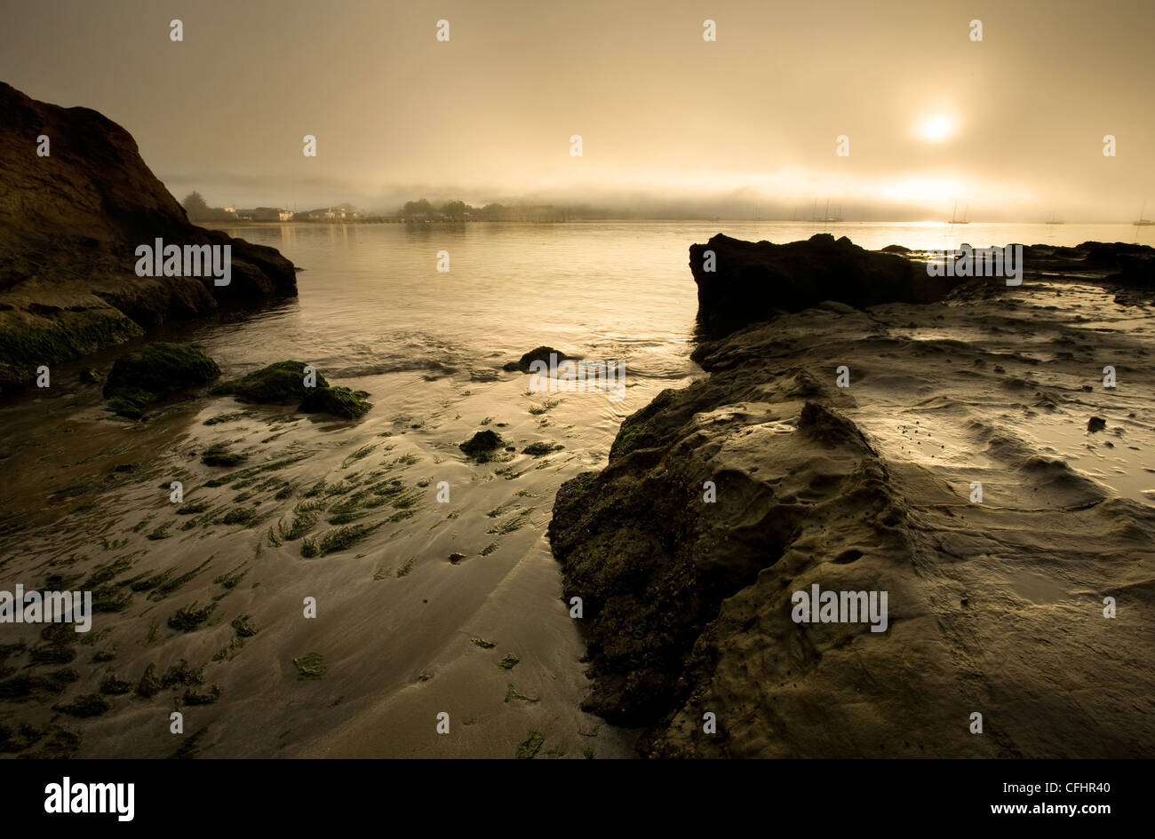 Foggy sunrise over Half Moon Bay and Pillar Point Harbor Stock Photo ...