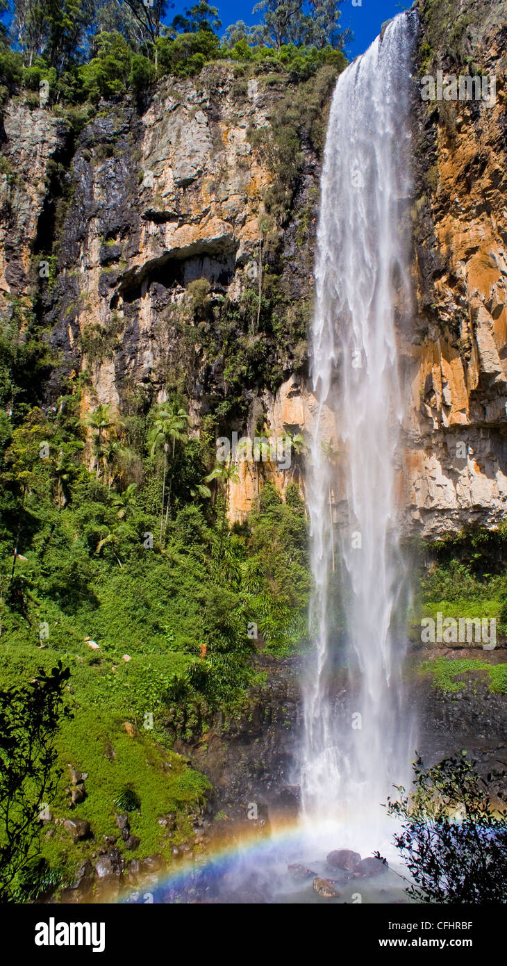 Springbrook Waterfall in Queensland, Australia Stock Photo - Alamy