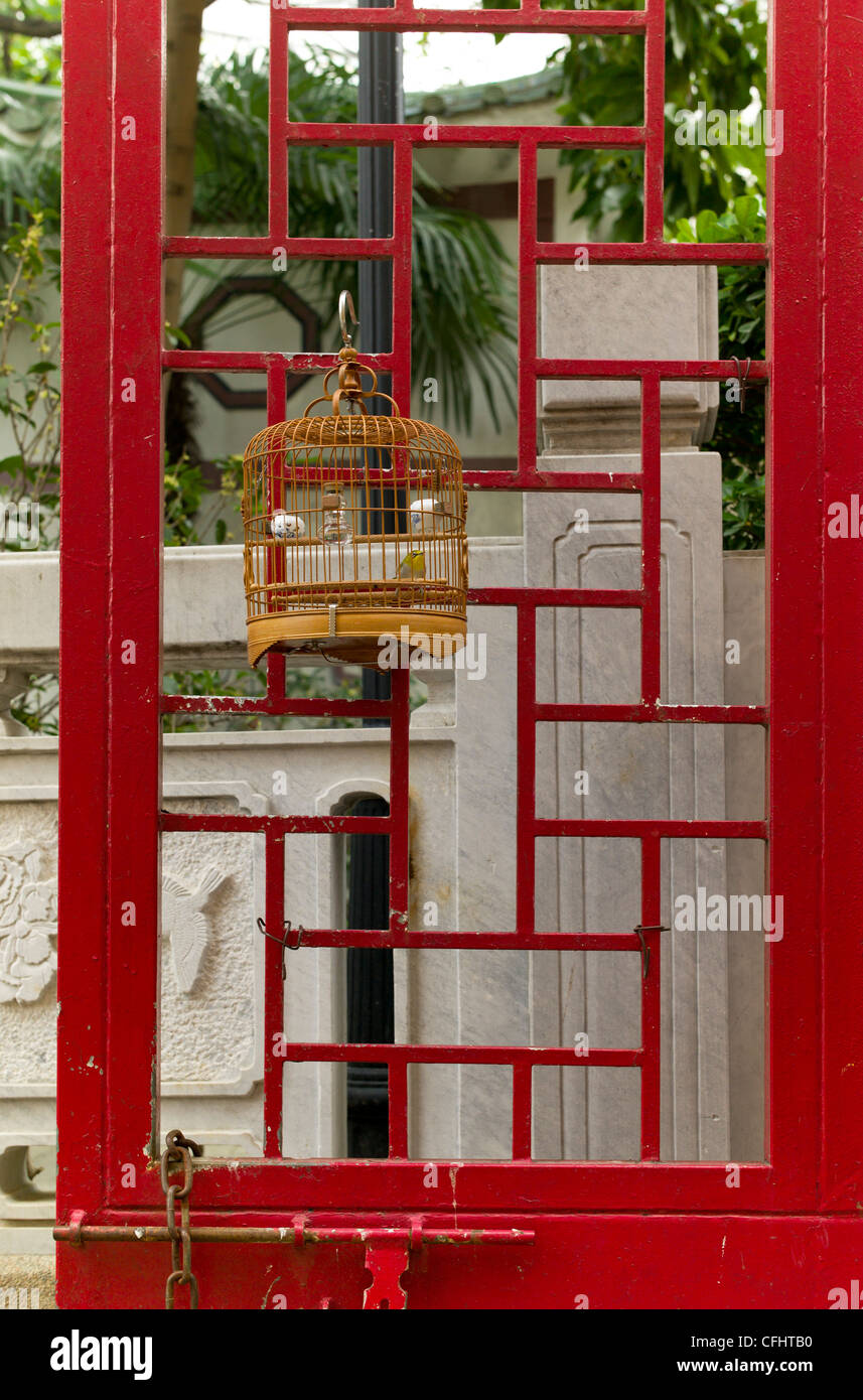 Birdwatcher china hi-res stock photography and images - Alamy