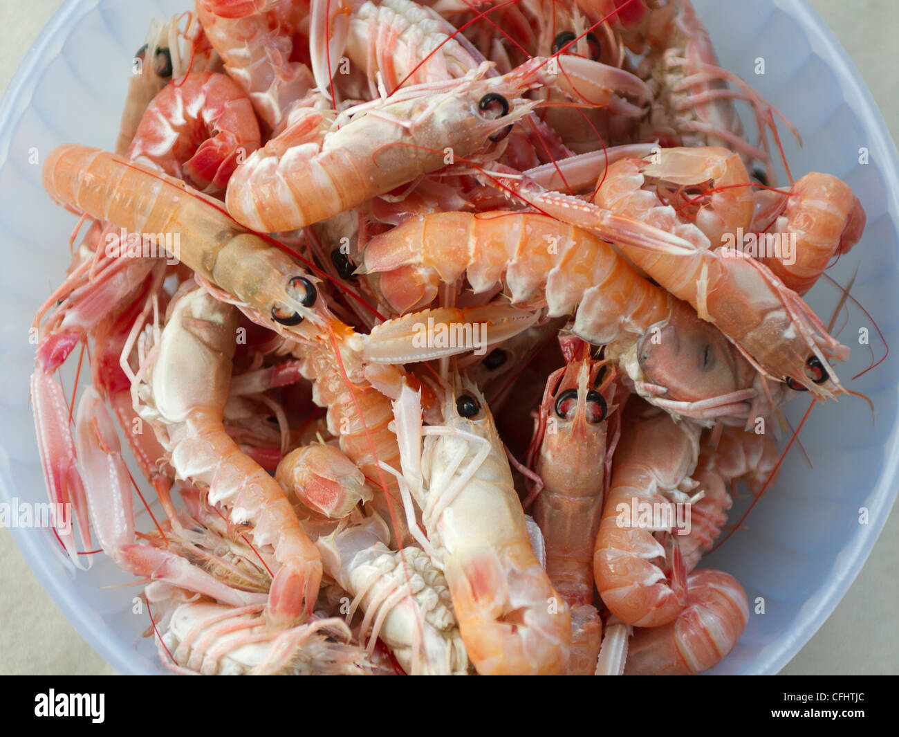 Bunch of fresh Adriatic scampi Stock Photo - Alamy