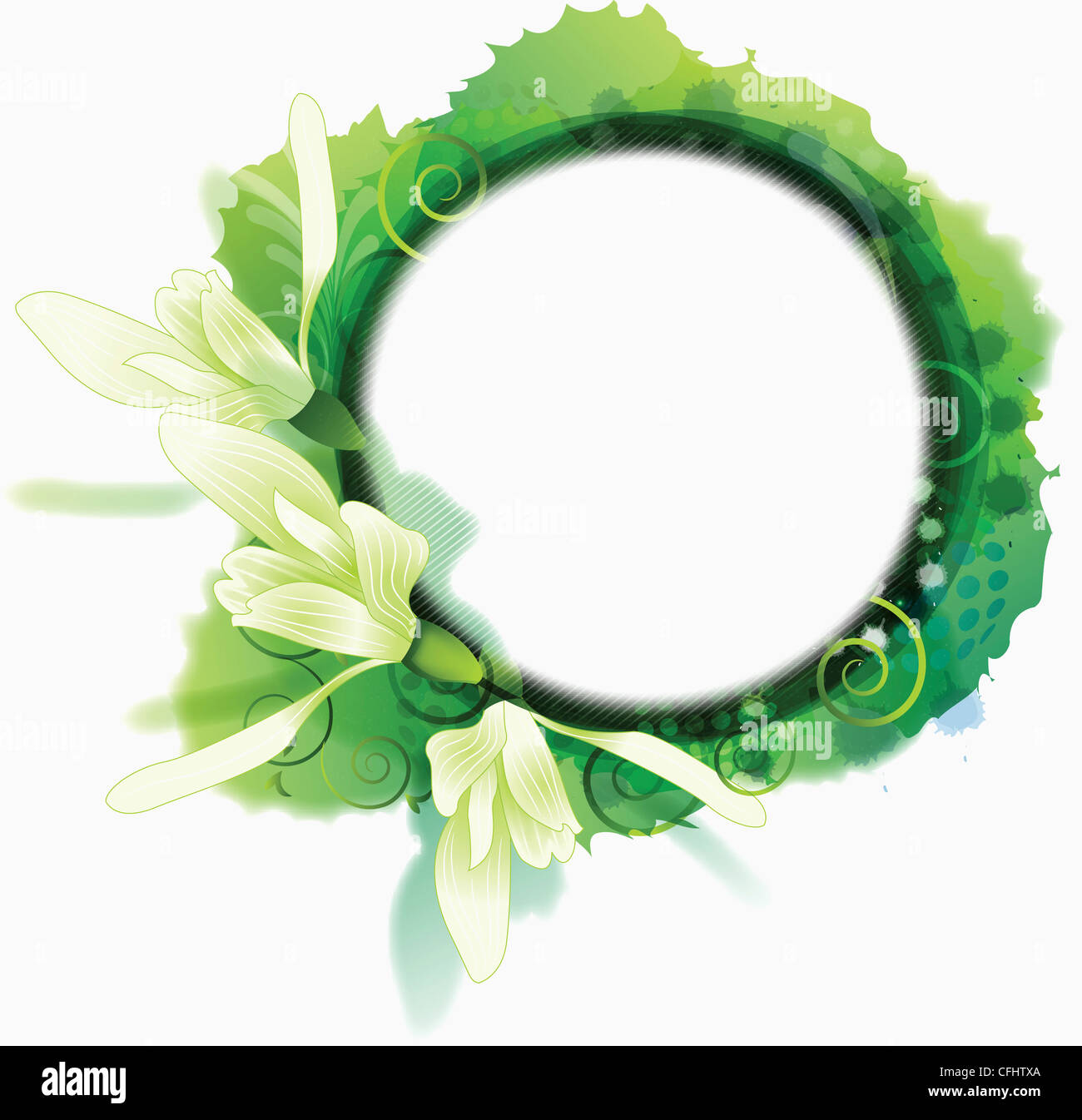 The green ink spreading circle with white lily Stock Photo - Alamy
