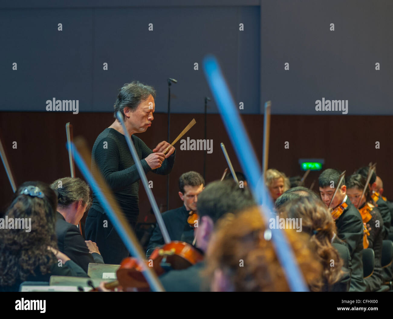 Professional philharmonic orchestra playing together hi-res stock ...