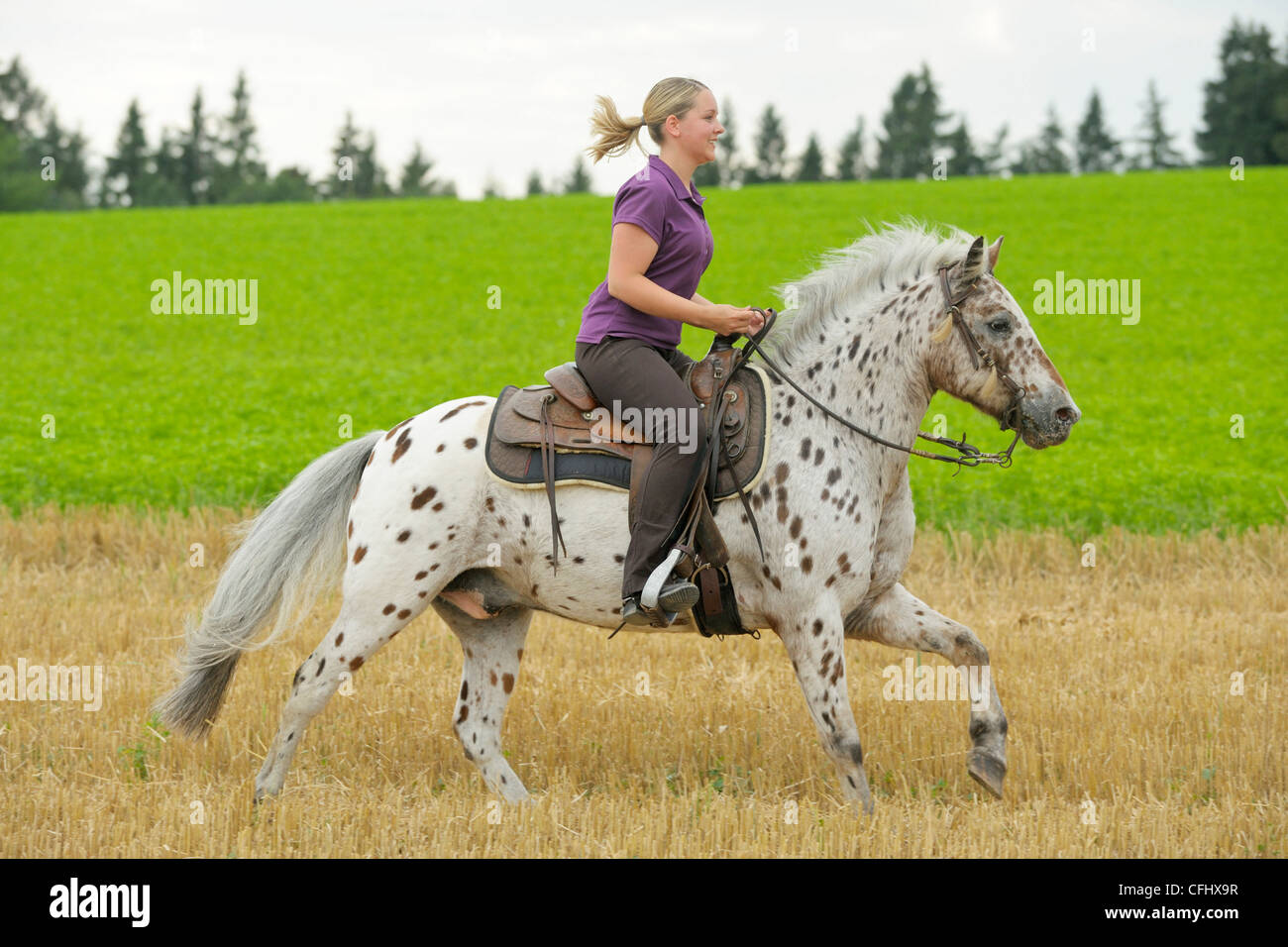 Summer gallop hi-res stock photography and images - Alamy