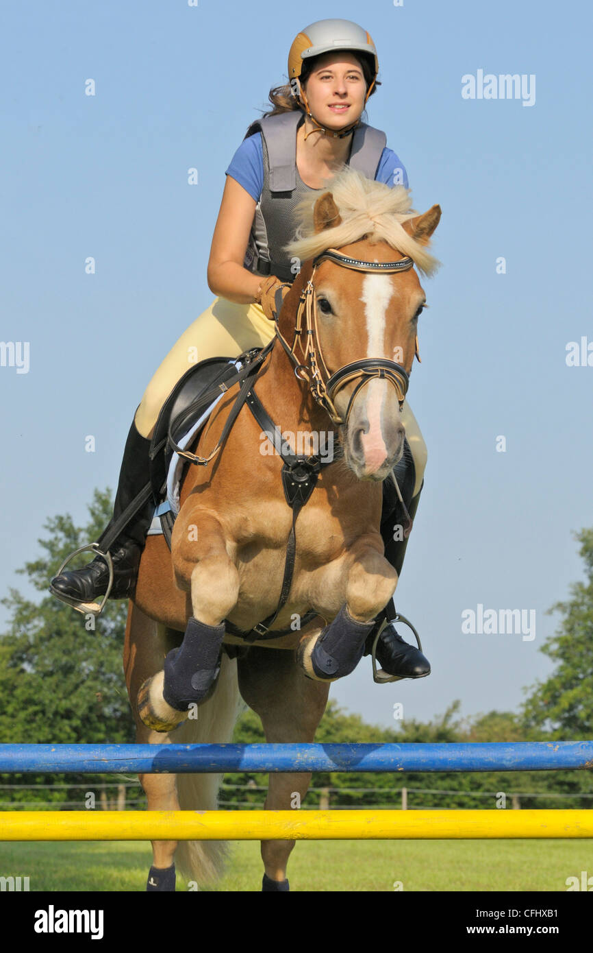 Young rider wearing a body protector jumping on back of her Haflinger ...