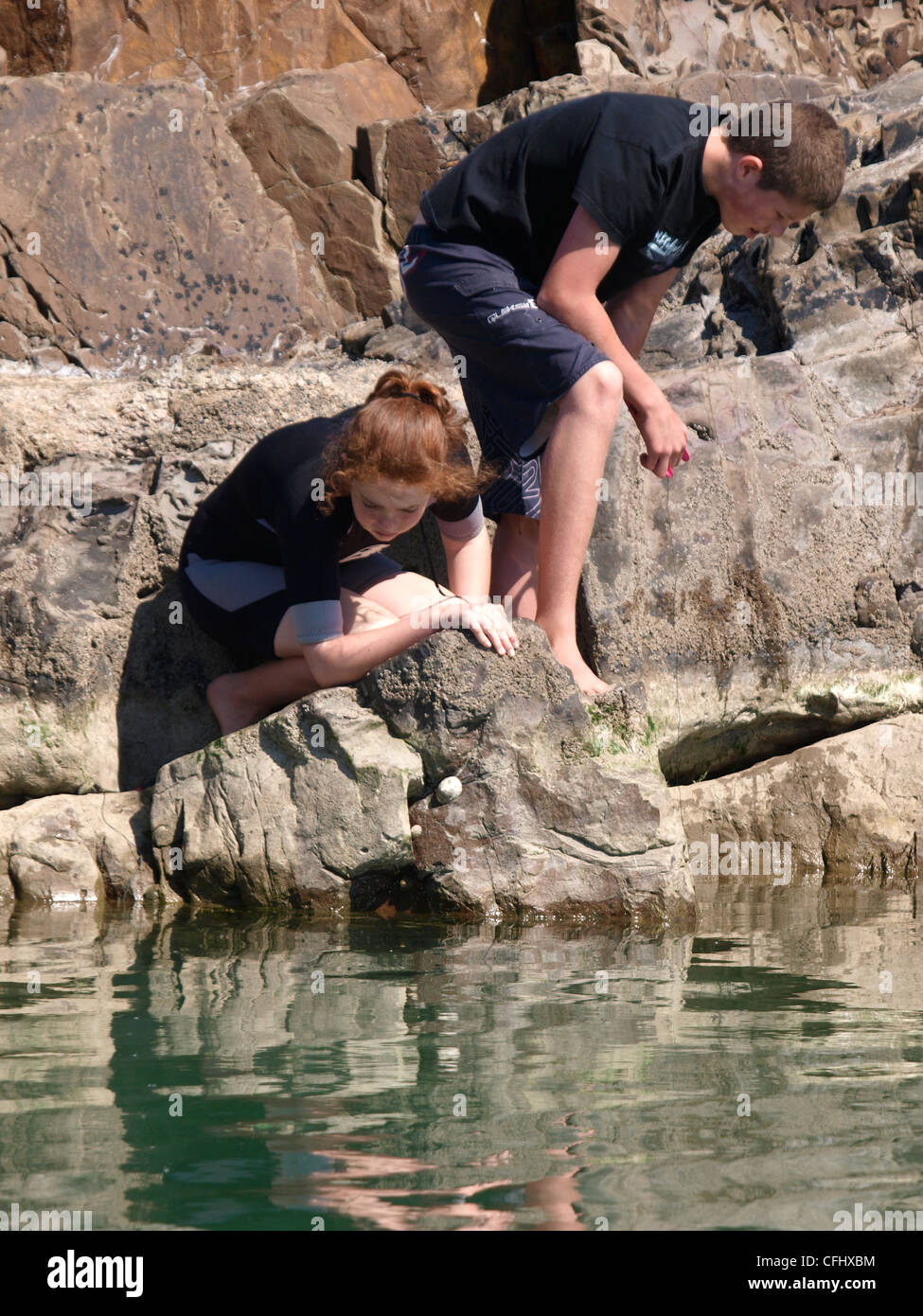 Children looking in a rockpool, Cornwall, UK Stock Photo - Alamy