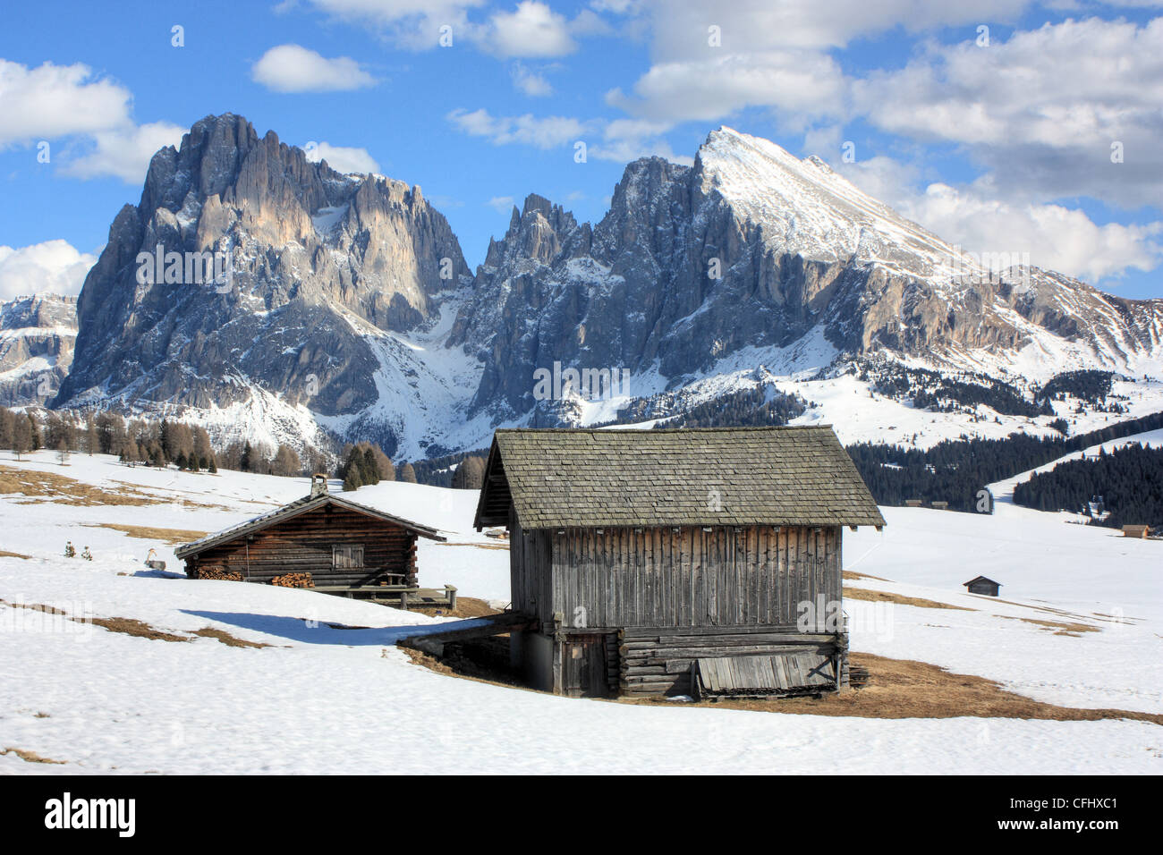 Dolomites Alps. Seiser Alm, Alpe di Siusi, Italy Stock Photo - Alamy
