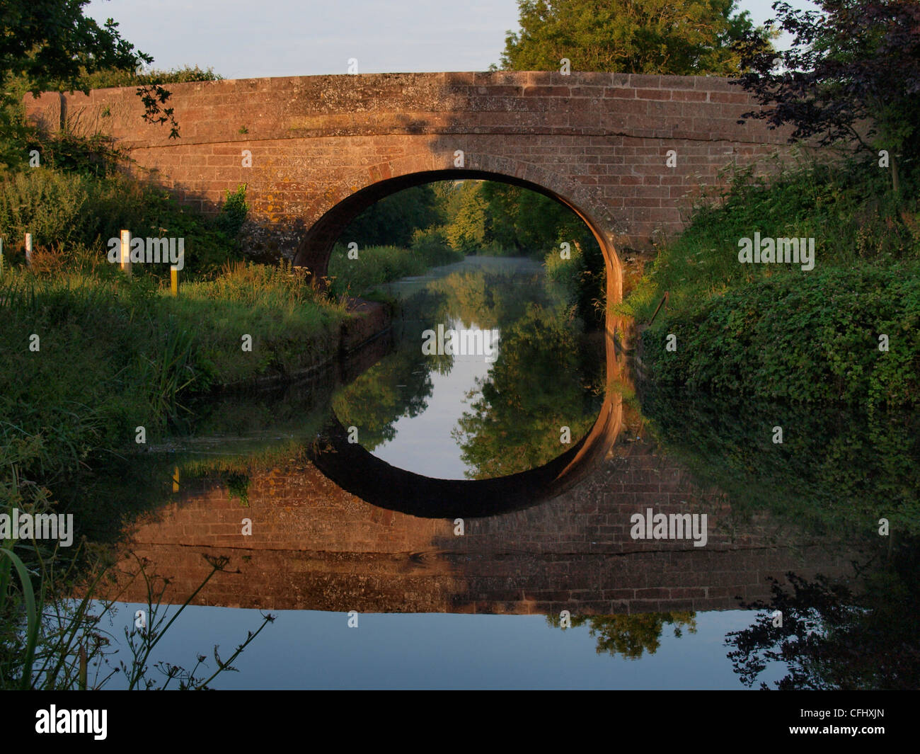 Bridge over the Great Western Canal, UK Stock Photo - Alamy