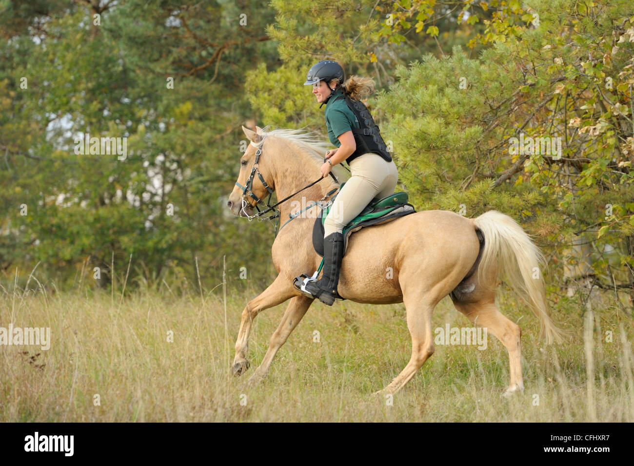 Galloping horse rider view hi-res stock photography and images - Alamy