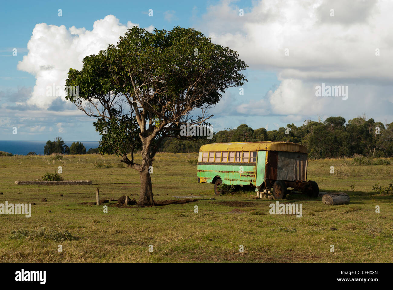 Camper under a tree hi-res stock photography and images - Alamy