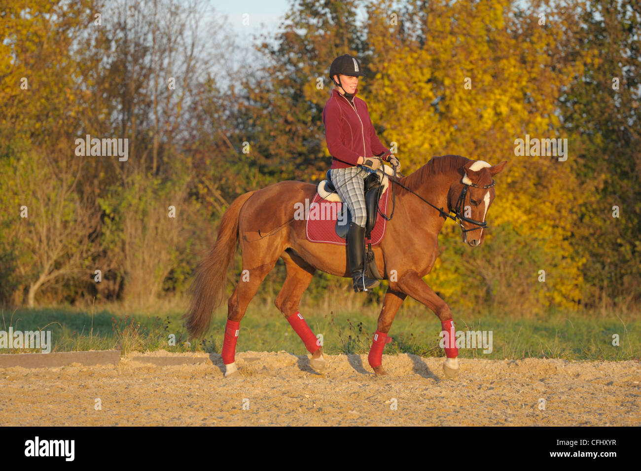 Rider in back light hi-res stock photography and images - Alamy