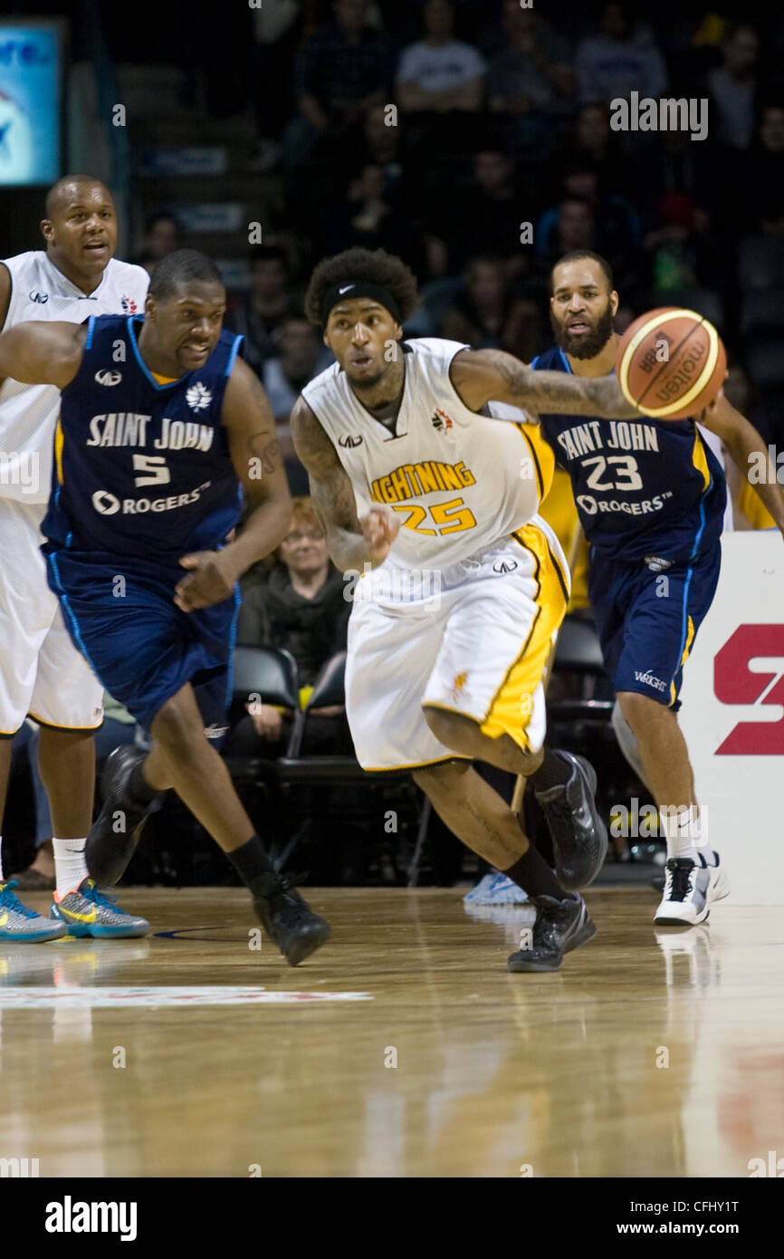 League of rats hi-res stock photography and images - Alamy