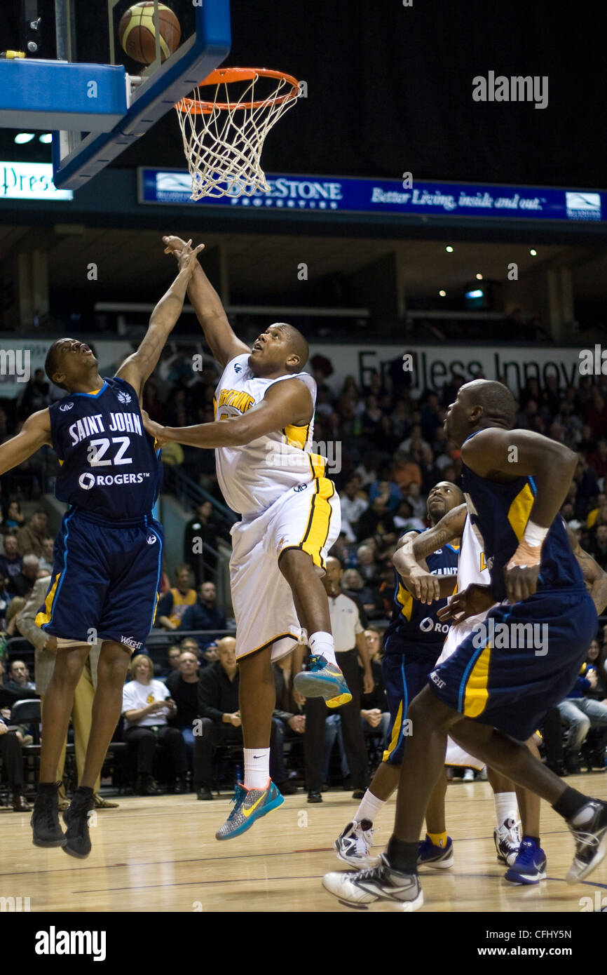 The London Lightning defeated the Saint John Mill Rats in the first ...