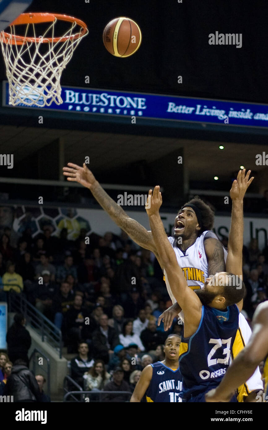 The London Lightning defeated the Saint John Mill Rats in the first ...