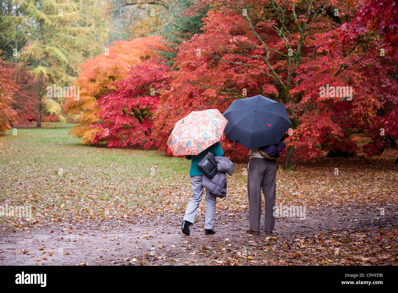 Visitors on a rainy and wet autumn day at The National Arboretum at ...
