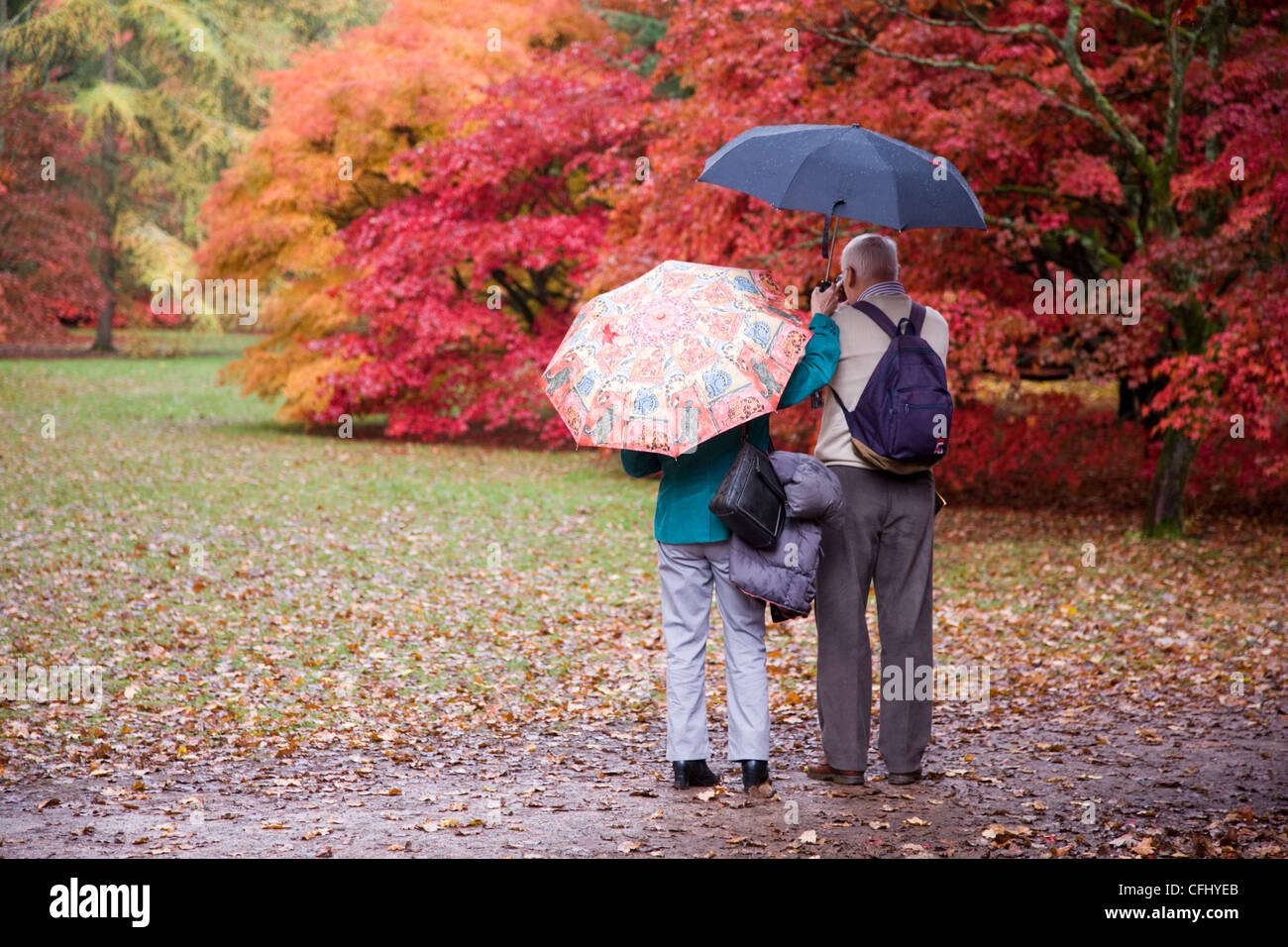Visitors on a rainy and wet autumn day at The National Arboretum at ...