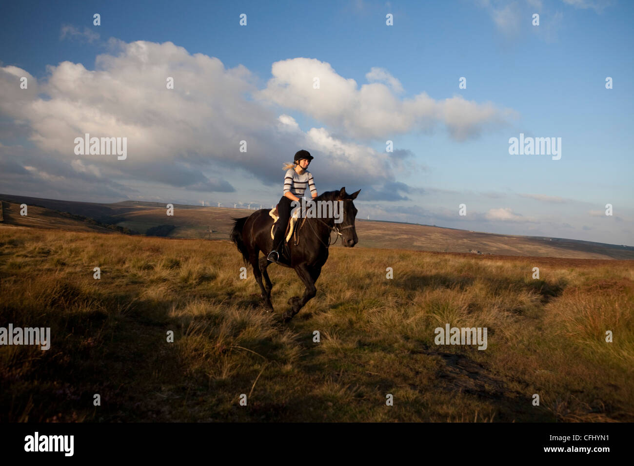 Horse riding on the Yorkshire Moors Stock Photo - Alamy