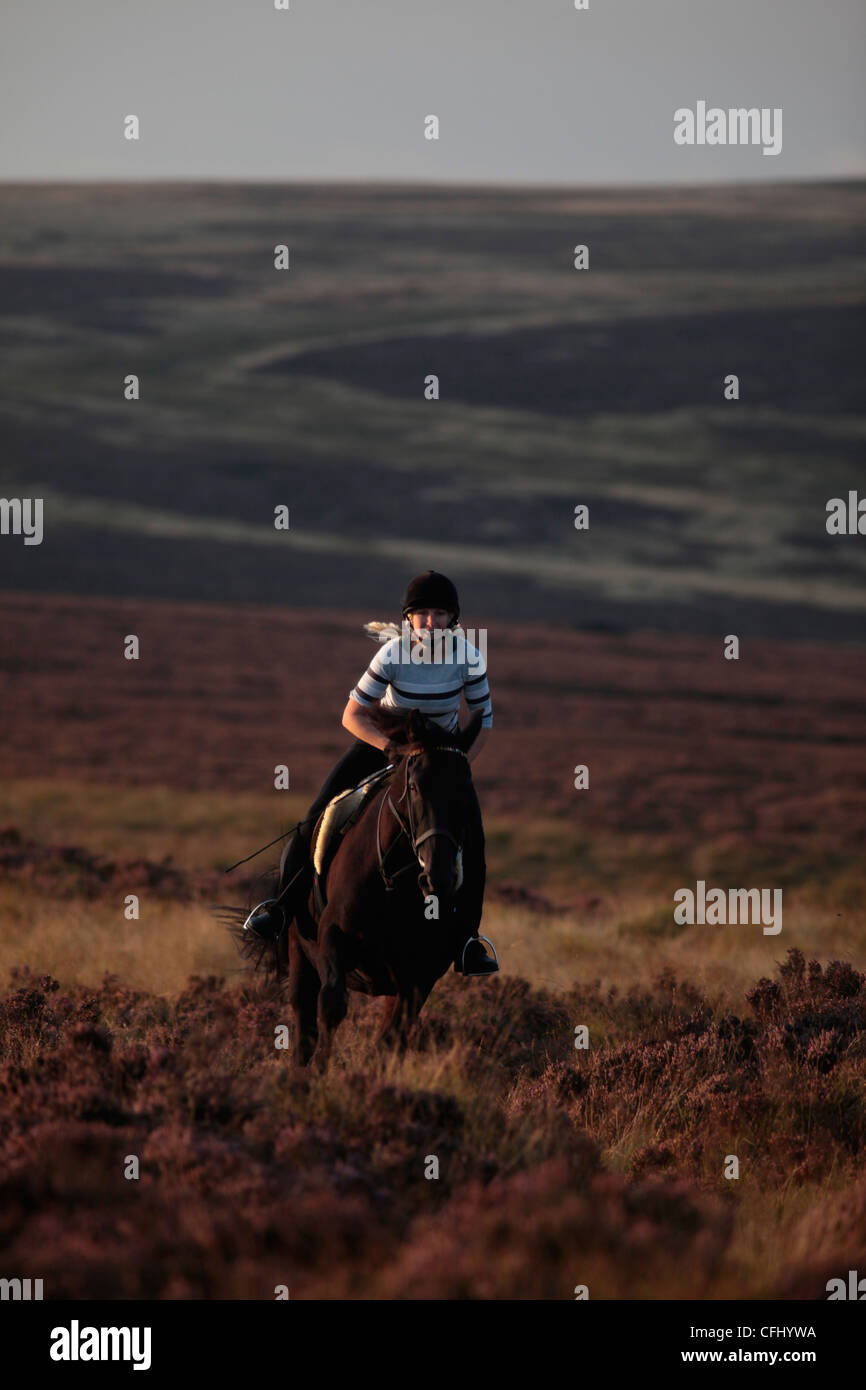 Horse riding on the Yorkshire Moors Stock Photo - Alamy