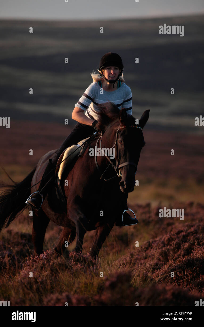 Horse riding on the Yorkshire Moors Stock Photo - Alamy