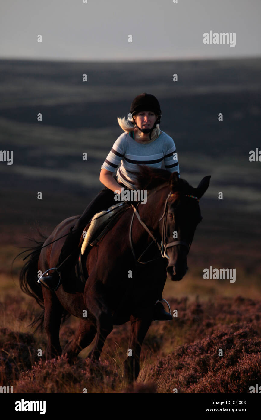 Horse riding on the Yorkshire Moors Stock Photo - Alamy
