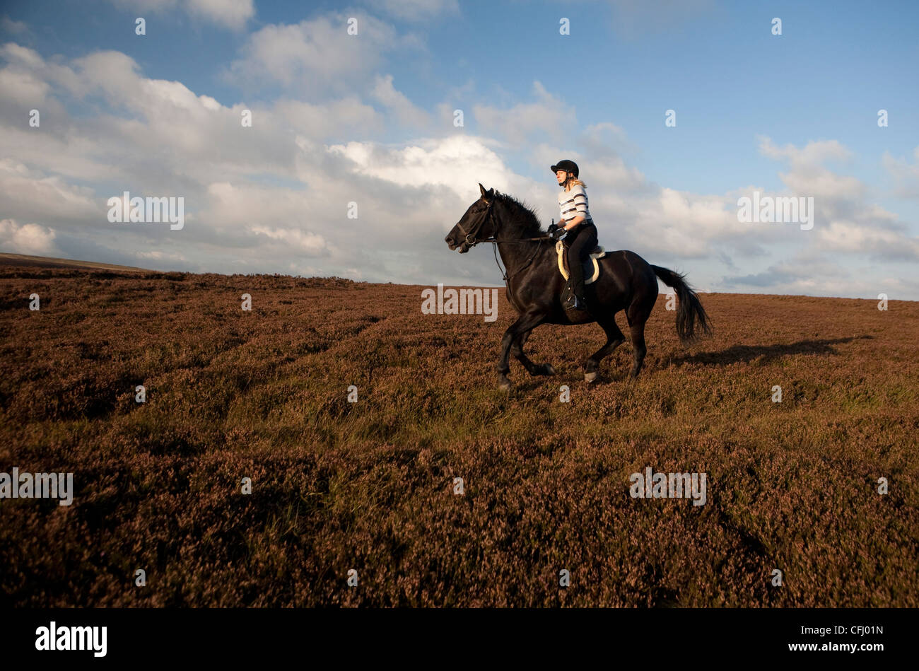 Horse riding on the Yorkshire Moors Stock Photo - Alamy