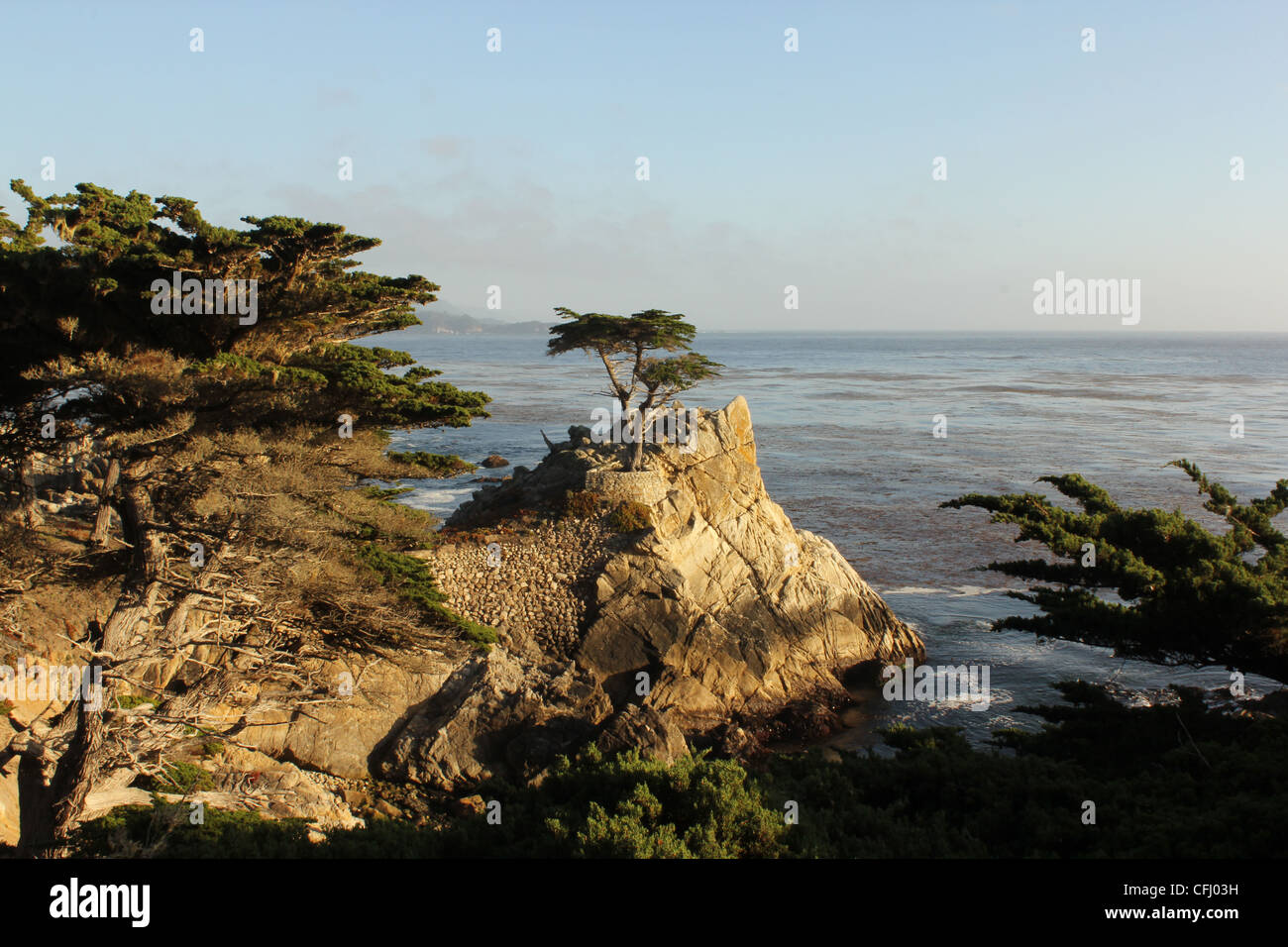 Cyprus trees hi-res stock photography and images - Alamy