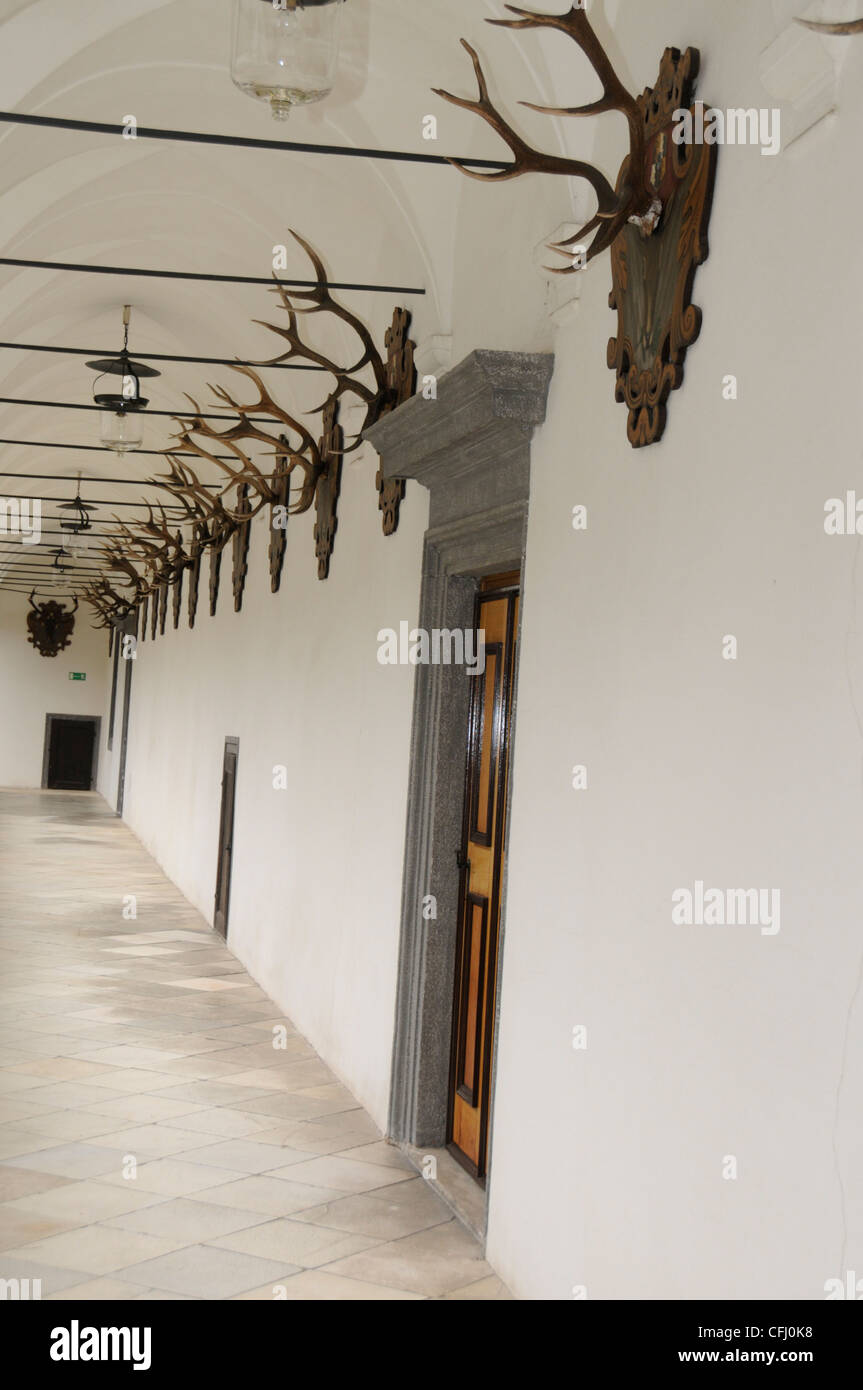 A row of deer antlers hanging on a wall along a balcony at the Schloss ...