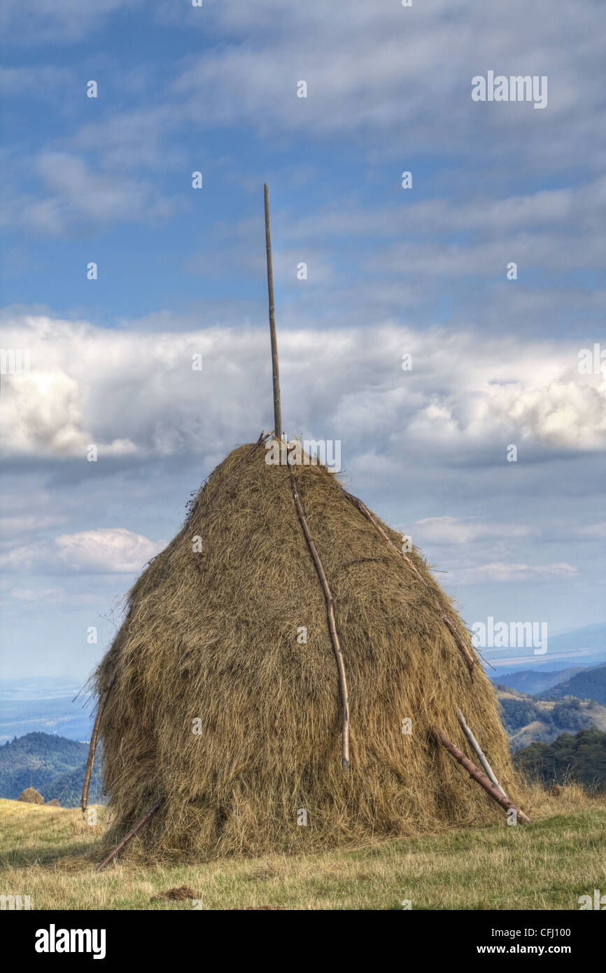 Hayrick High Resolution Stock Photography and Images - Alamy