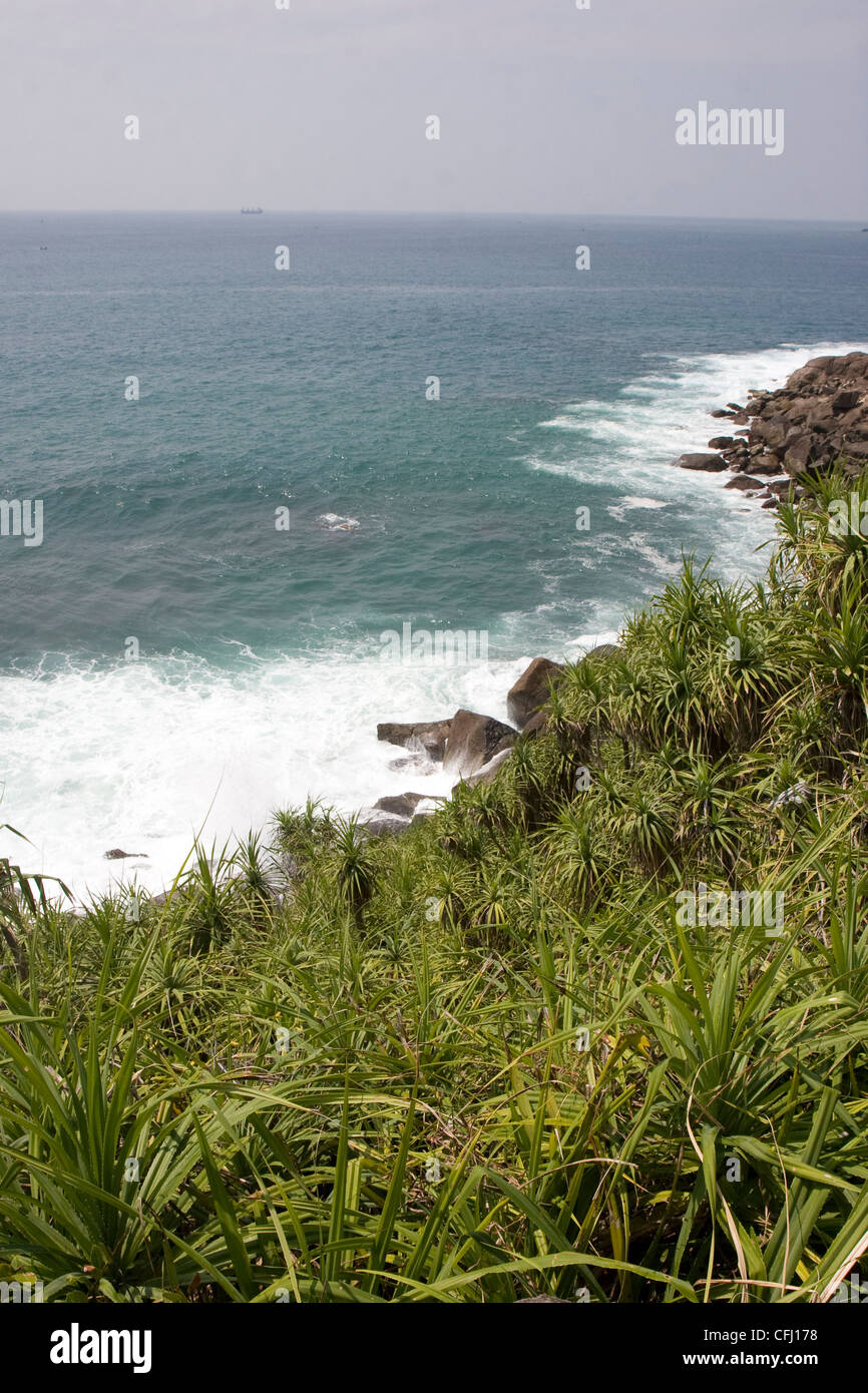 Jungle by sea hi-res stock photography and images - Alamy