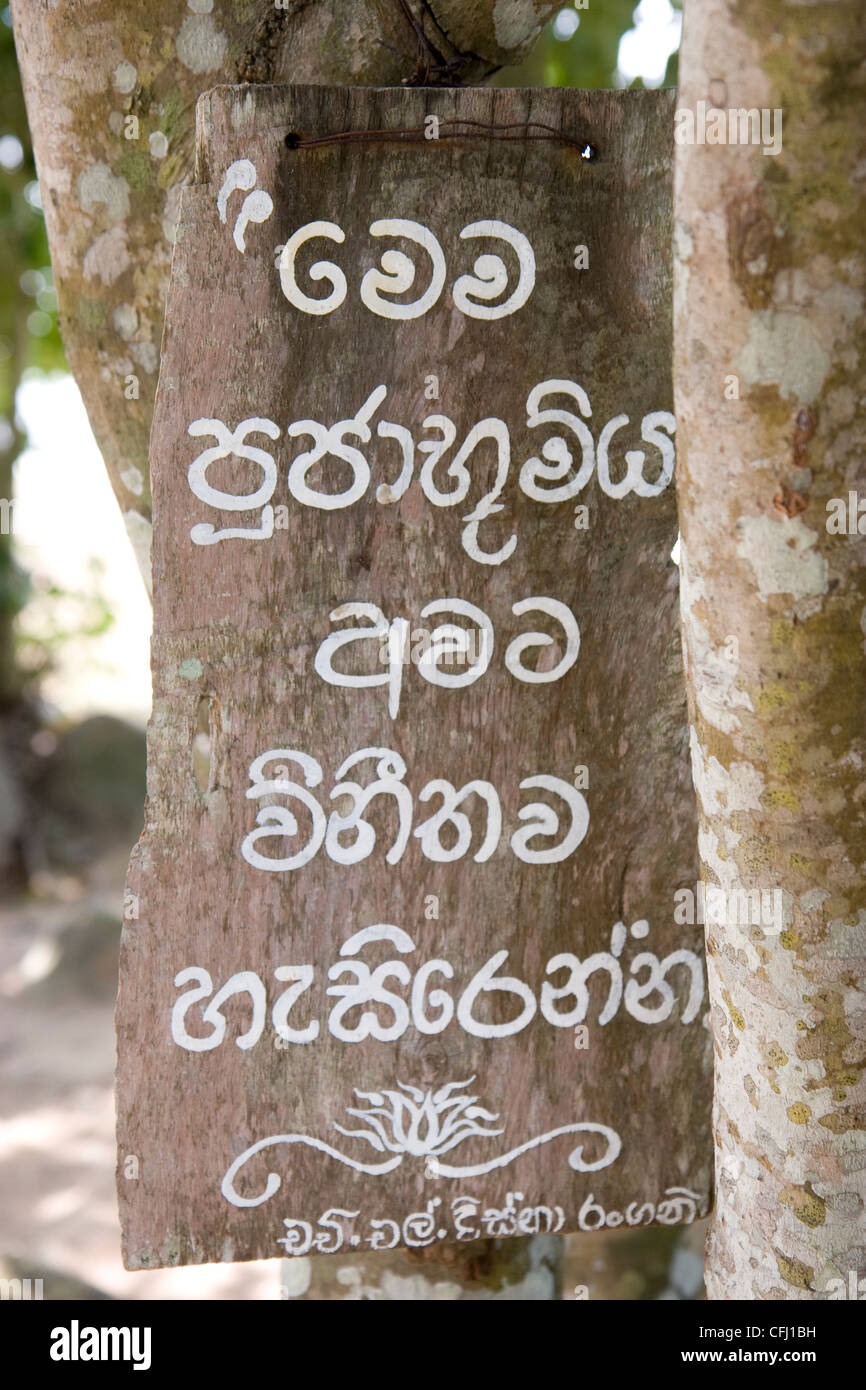 Sinhalese writing on bark outside a temple Stock Photo - Alamy