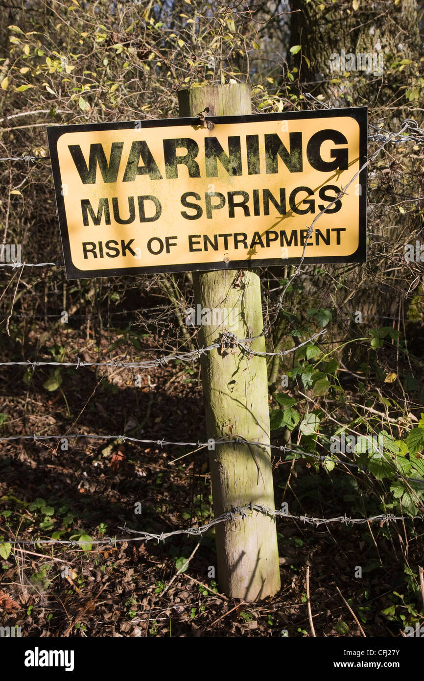 The famous Templar Firs mud springs, an SSSI where Jurrasic mud bubbles ...