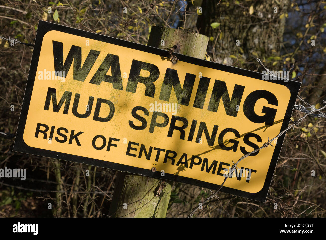 Jurassic Spring High Resolution Stock Photography and Images - Alamy